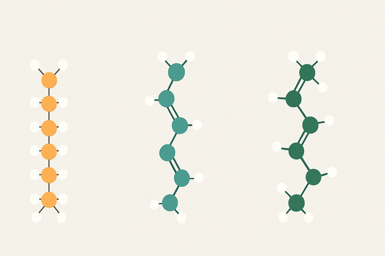 What Are Considered Fatty Acids and Which Foods Have the Best Types for ...