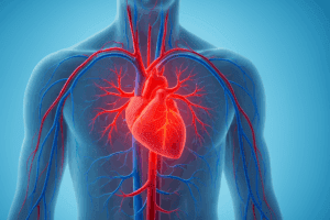 How Blood Pressure and Blood Flow Are Related: Understanding ...