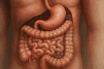 Surprising Reasons Why Am I So Gassy All the Time—and When to Be ...